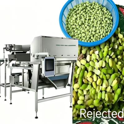 China Belt Type Frozen Edamame Color Sorter -Low Breakage, High Accuracy, Self Learning. for sale