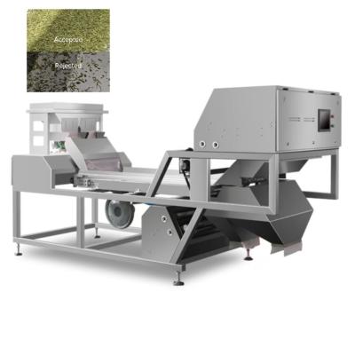 China AI Belt Type Basil Color Sorter for Dried Herbs & Spices. for sale