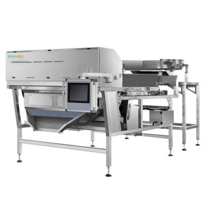 China Ai Intelligent Belt-Type Optical Color Sorter For Irregular Materials (Sunflower Seeds) for sale