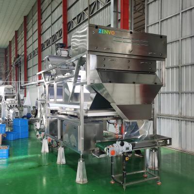 China High-Precision Double-Layer Belt-Type Cashew Optical Color Sorter-Intelligent Shell-Kernel Separation Machine for sale