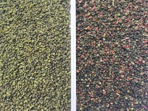Máquina do classificador da cor do CCD de 320 rampas dos canais 5 para a pimenta chinesa