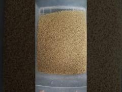Classificador da cor de 2 calhas, máquina de classificação inteligente do arroz pegajoso do CCD