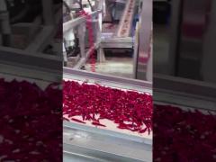 6-12 toneladas por hora Grande produção, sortidora de cores de pimenta de alta precisão