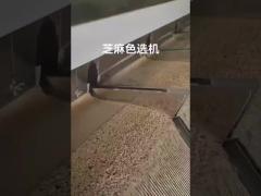 15 tonnellate di miliardi di pixel all'ora, sistema operativo intelligente Sesame Color Sorter