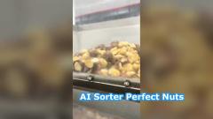 Ai Deep Learning Smart Macadamia Color Sorting Machine, 128 Channels.