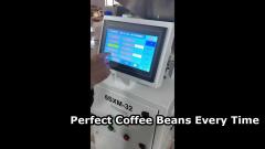 coffee bean sorting