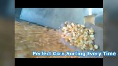 Color sorter for selecting corn