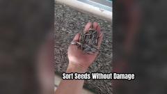 Sunflower Seed Crawler Color Sorter