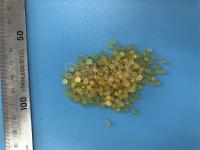China ISO9001 Ultem PEI Solvent Resistant Pharmaceutical Components for sale