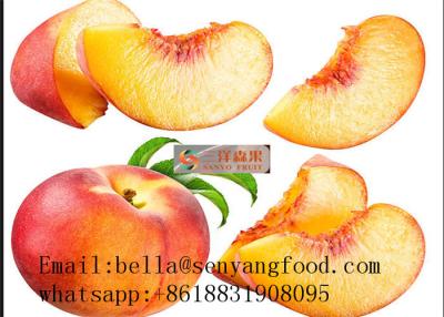 China tinned yellow peach halves canned fruit in syrup for sale