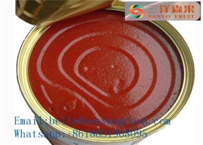 China Canned tomato paste Preservation Instant food vegetarian for sale