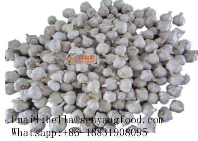 China Best price black garlic extract 1% allicin black garlic extract powder for sale