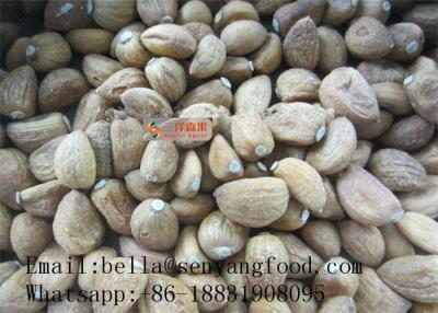 China Chinese factory price Dehydrated Garlic powder/flakes/granular for sale