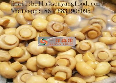 China CANNED MARINATED MUSHROOM/CHAMPIGNON CAN FOOD for sale