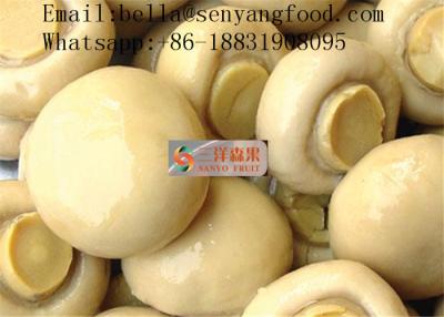 China canned fresh button mushroom marinated whole from China for sale