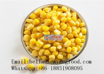 China Professional team new season sweet vegetable corn canned from china for sale