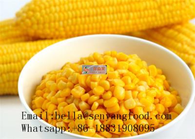 China Top grade Organic Canned sweet baby corn Fresh Canned Sweet Corn/Canned Corn Kernels for sale