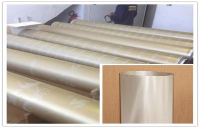 Cina Di tensione affidabile simmetrico del nichel dello schermo rotatorio standard osmotico del tessuto in vendita