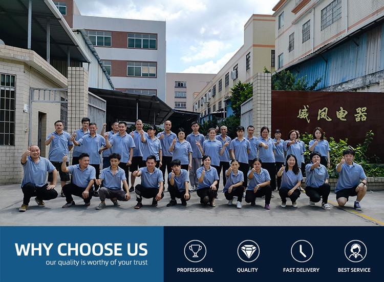 Verified China supplier - Foshan Shunde Wf Electrical Technology Co., Ltd.