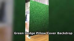 Green Hedge Pillow Cover Backdrop