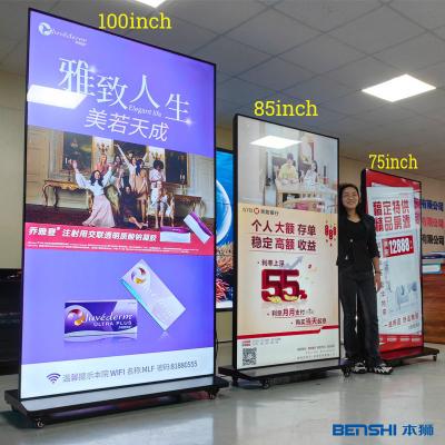 Cina 100