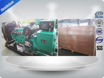 Cina 10kw globale - gassificatore della biomassa 1000kw con il generatore del gas autoalimentato in vendita