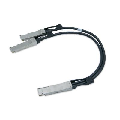 Cina 400G QSFP-DD a 2x200G QSFP56 Cable copper Twinax ad attacco diretto in vendita