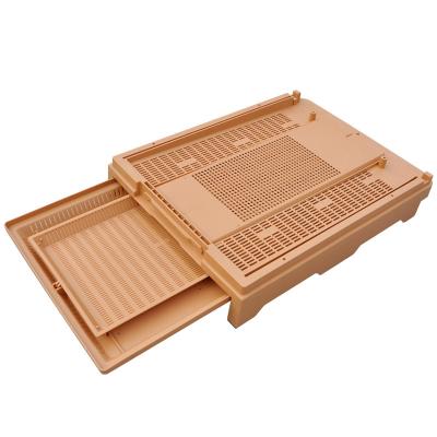 China Durable Plastic Beehive Supporter Accessory with Impact-Resistant Food-Grade PP Material and 58*41*9cm Size for sale