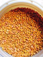 China Big Granual High Quality Food Grade Raw Bee Pollen Fresh Mixed Pollen for sale