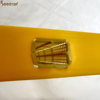 China 4L Plastic Bee Feeder Plastic Yellow Beekeeping Hive Tool Feeder With Accessories for sale