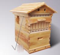 China Automatic Self Flowing Flow Hive with Chinese Fir Wood for Beekeeping - Unassembled Langstroth Hive for sale