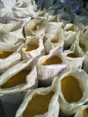 China Pure Natural Beepollen a must-have for any environmentally conscious individual for sale