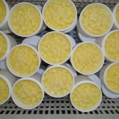 Cina 10-HDA 1,8% Biologico Fresco Gelea Reale 100% Pura in vendita
