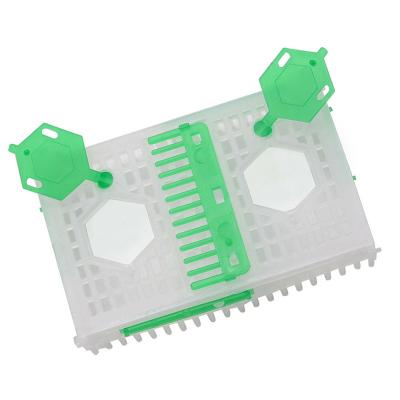 China Beestar Bulk Wholesale High Quality Plastic Collapsible Queen Cage Rearing System Equipmentraw For Beefarm for sale