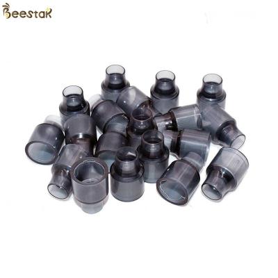 China Wholesale Beekeeping Tools Apiculture Plastic Queen Bee Cell Cups For Beekeeping for sale