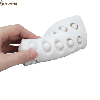 Cina Regina della muffa del silicone che eleva i corredi di apicoltura per il sistema di Nicot delle celle reali in vendita