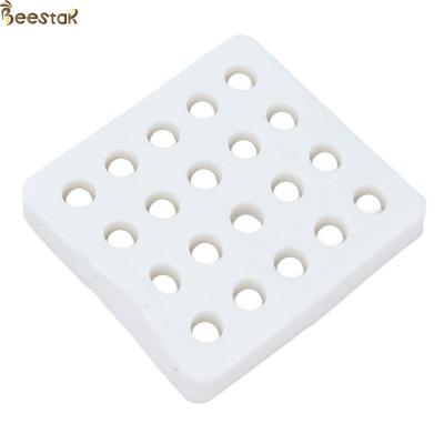Cina Regina della muffa del silicone che eleva i corredi di apicoltura per il sistema di Nicot delle celle reali in vendita