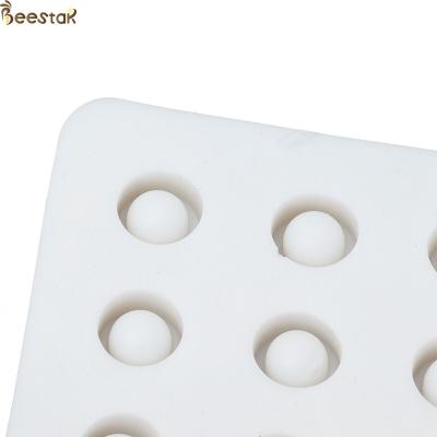 Cina Regina della muffa del silicone che eleva i corredi di apicoltura per il sistema di Nicot delle celle reali in vendita