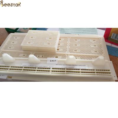 Cina Trappola della scatola di stoccaggio delle api regine degli accessori dell'alveare degli strumenti di apicoltura e del polline dell'alveare in vendita