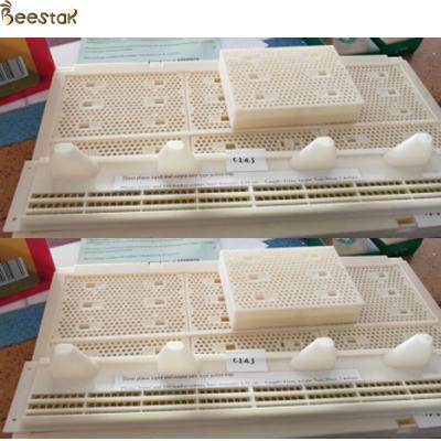 Cina Trappola della scatola di stoccaggio delle api regine degli accessori dell'alveare degli strumenti di apicoltura e del polline dell'alveare in vendita