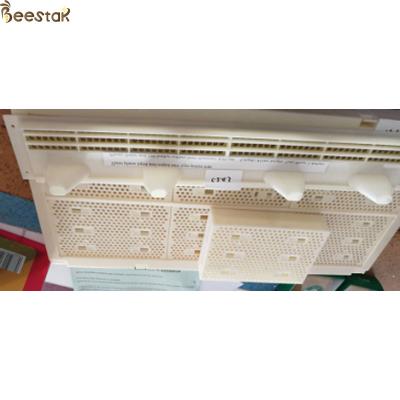 Cina Trappola della scatola di stoccaggio delle api regine degli accessori dell'alveare degli strumenti di apicoltura e del polline dell'alveare in vendita