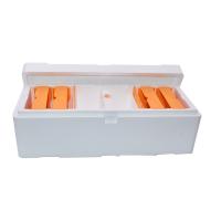 China High Strength EPS Queen Breeding Box with Food Grade Foam for Queen Rearing Nucs 33*13*11.5cm for sale