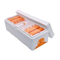 China High Strength EPS Queen Breeding Box with Food Grade Foam for Queen Rearing Nucs 33*13*11.5cm for sale