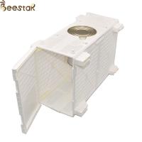 China PP Plastic Bee Bus Bee Cage for Queen Bee Farming 355*235*140mm Beehive Equipment for sale