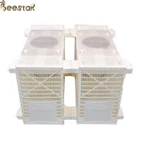 China PP Plastic Bee Bus Bee Cage for Queen Bee Farming 355*235*140mm Beehive Equipment for sale