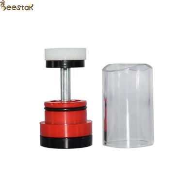 China Queen Bee Marker Red Transparent Mark Plastic Box Queen Rearing for sale