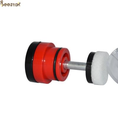 China Queen Bee Marker Red Transparent Mark Plastic Box Queen Rearing for sale