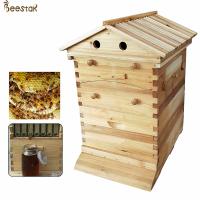 China Automatic Self Flowing Flow Hive with Chinese Fir Wood for Beekeeping - Unassembled Langstroth Hive for sale