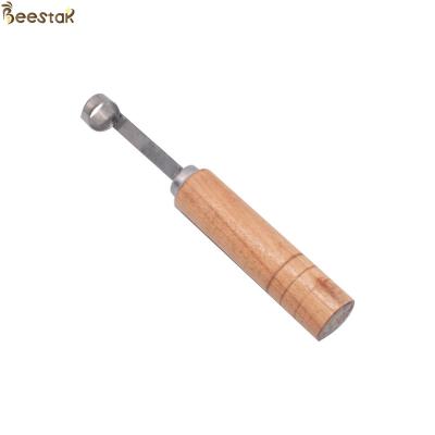 China Queen Bee Rearing Knife With Wooden Handle for sale
