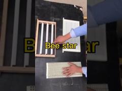 Ninguna reina de la apicultura del injerto que alza una herramienta plástica del apicultor de la caja de la abeja de la miel del casete